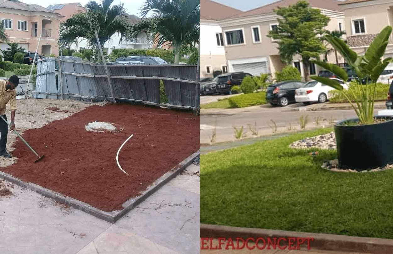 Home - Elfad Concept LTD